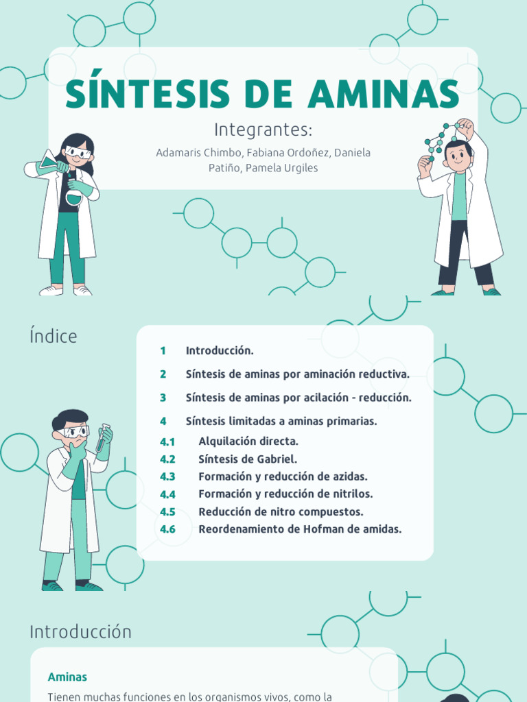 Síntesis de Aminas | PDF | Amina | Amida