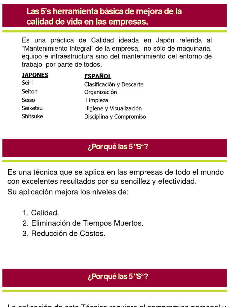 Clase-6-P-3-Tecnica-Las-5-S | PDF | Business | Higiene