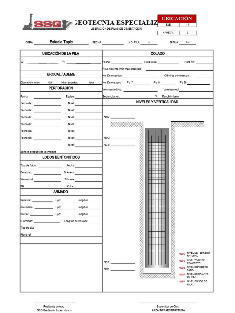 Formato de liberación de pilas. | PDF