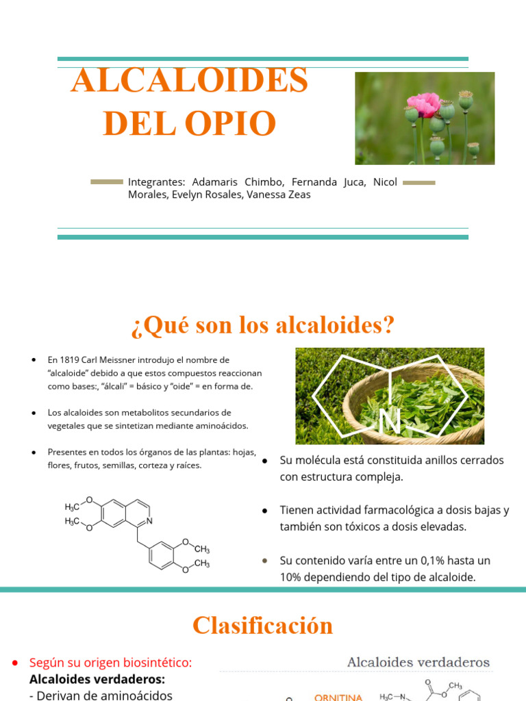 Alcaloides Del Opio | PDF | Opioide | Opio