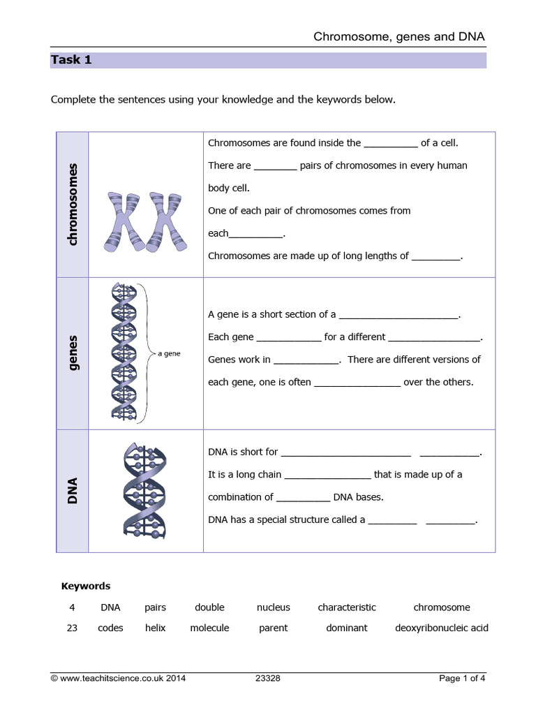 Science Worksheet | PDF | Dna | Gene