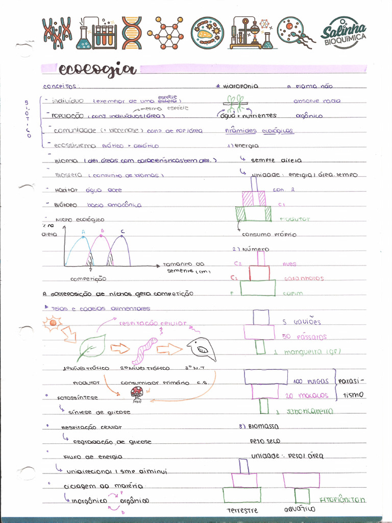 Caderno Bio Daniel | PDF