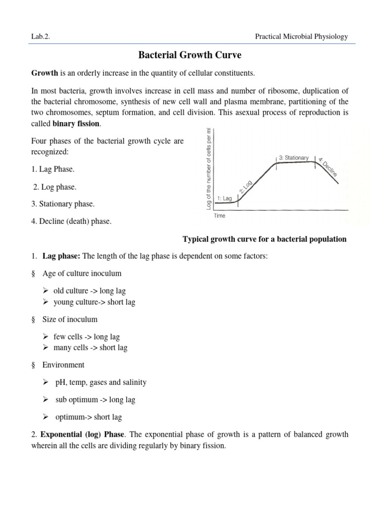 Bacterial Growth Curve | PDF | Cell Growth | Colony Forming Unit