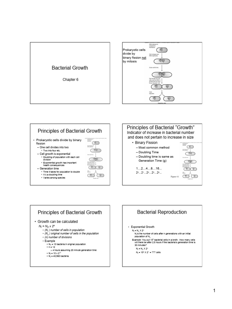 Bacterial Growth1 | PDF | Growth Medium | Nutrition