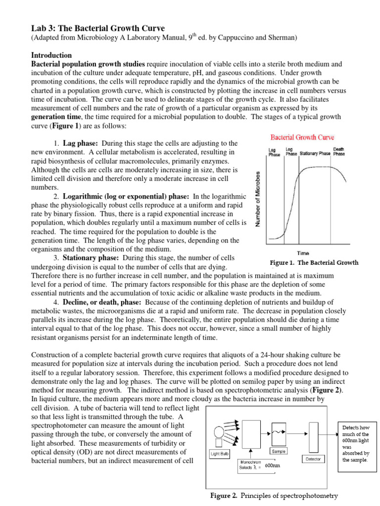 The Bacterial Growth Curve | PDF | Spectrophotometry | Laboratory ...