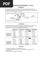 Cour Et Bilan Ppse Et Ppsi Sommation Temporelle Et Spatial | PDF ...