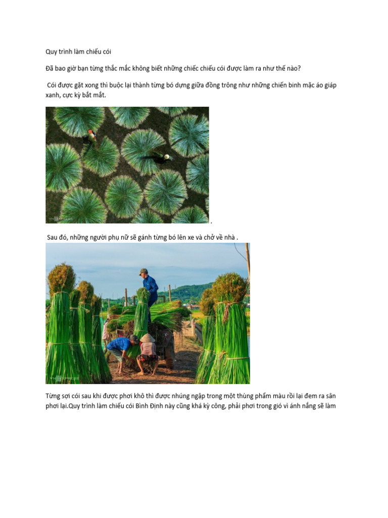 Quy trình làm chiếu cói | PDF