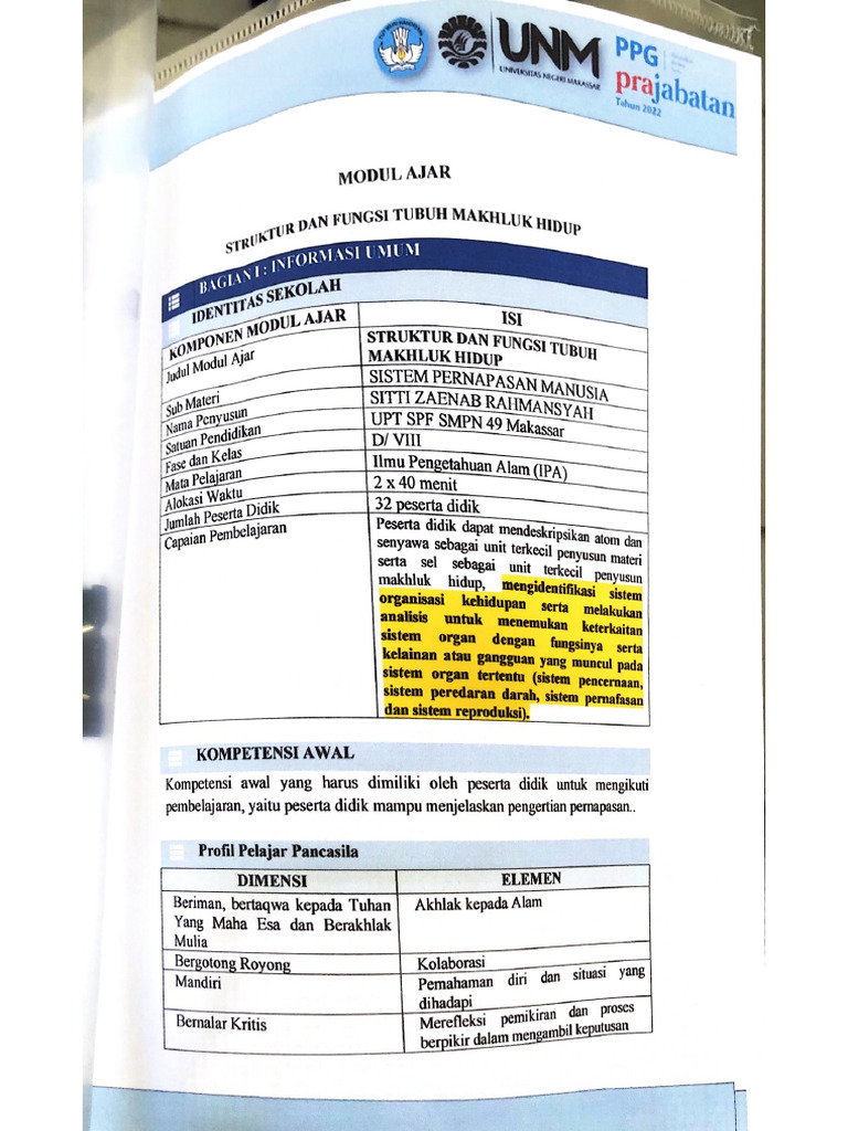 Modul Ajar TaRL | PDF