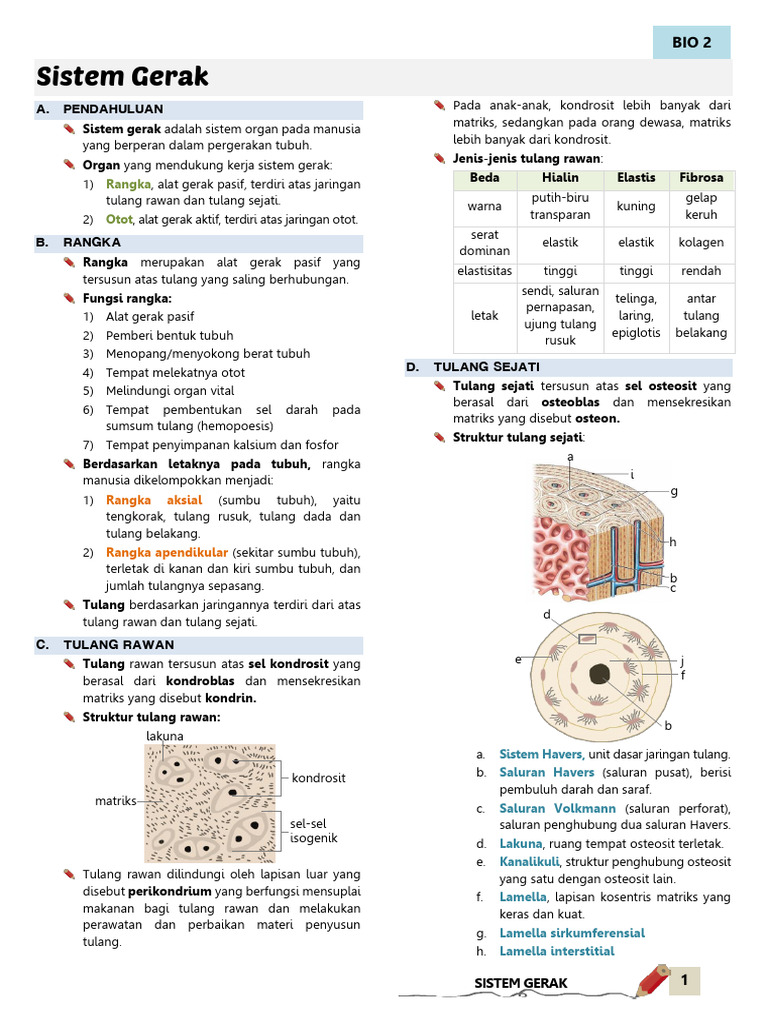 Sistem Gerak-1 | PDF
