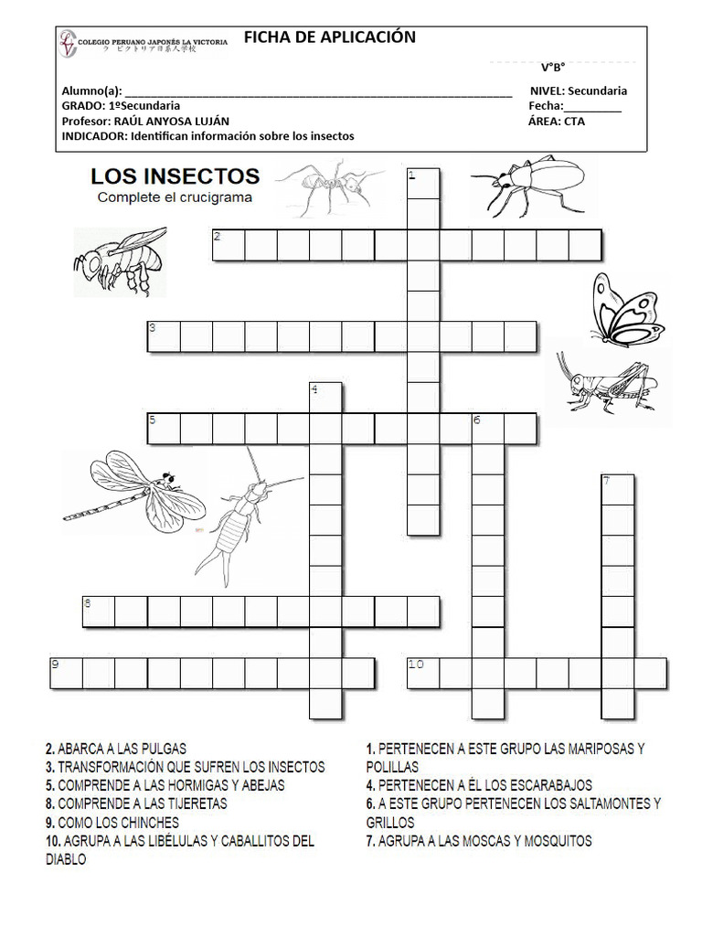 Ficha de Aplicación sobre Insectos | PDF | Ciencia y matemáticas ...