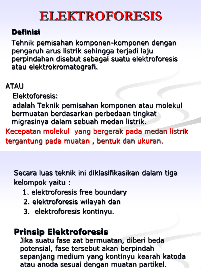 Teknik Elektroforesis dan Aplikasinya | PDF