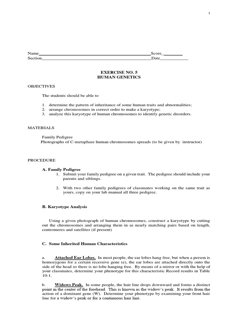 Exer 5 Human Genetics | PDF | Dominance (Genetics) | Genetics