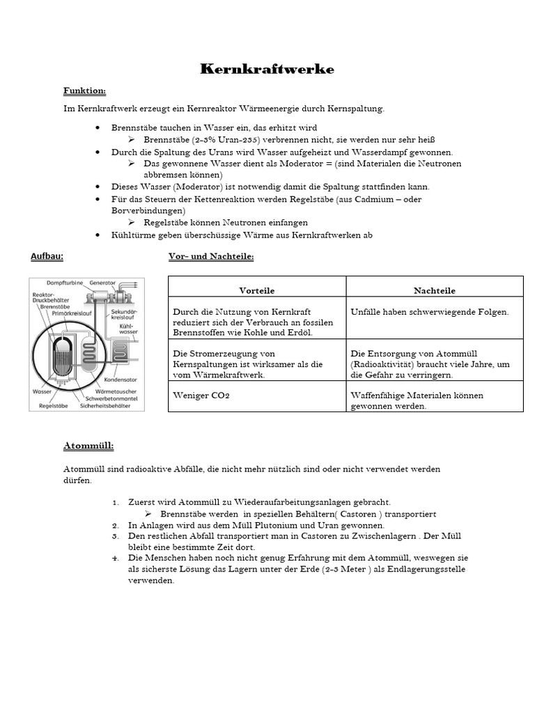 Kernkraft Werke | PDF