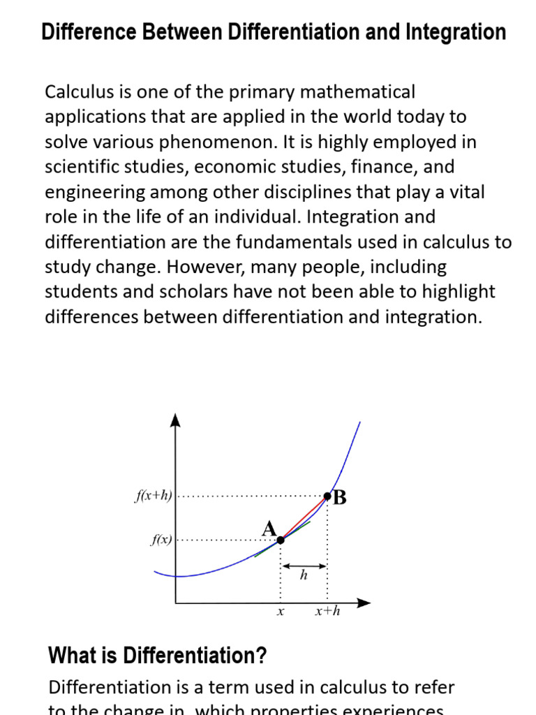 Real-Life Applications of Calculus | PDF | Art