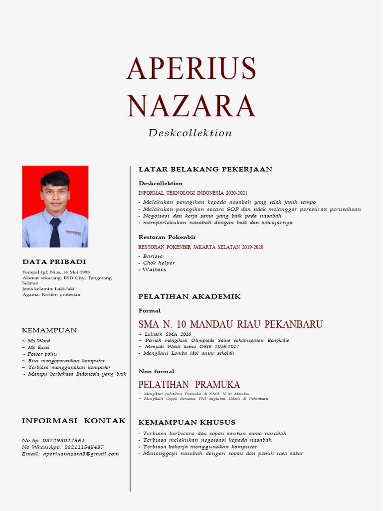 Profil Kerja dan Kemampuan Aperius | PDF