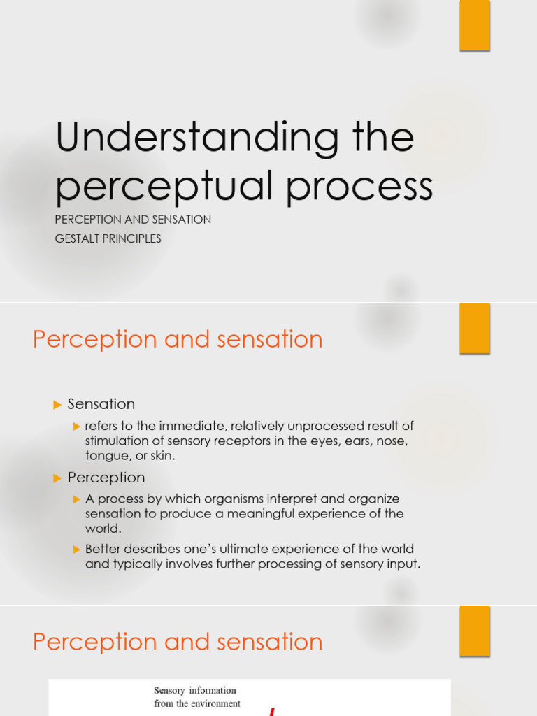 Introduction-Perceptual Process | PDF | Perception | Senses