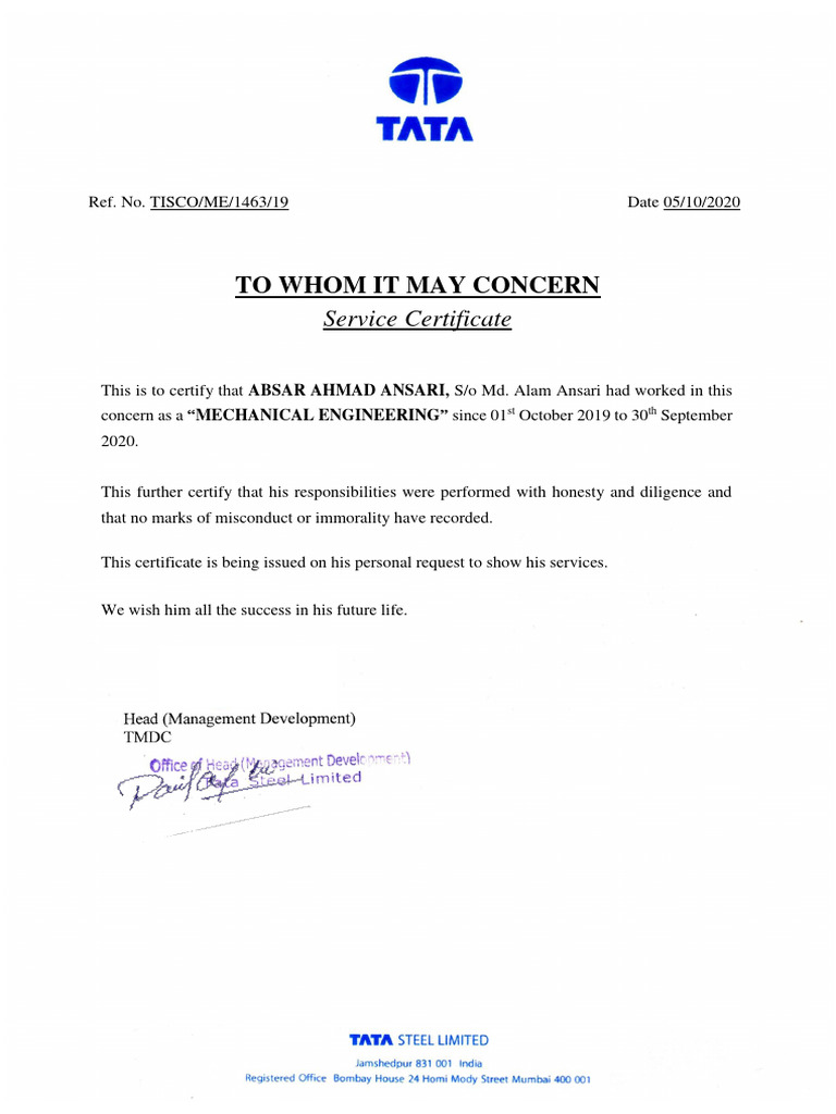 TATA EXPERIENCE | PDF