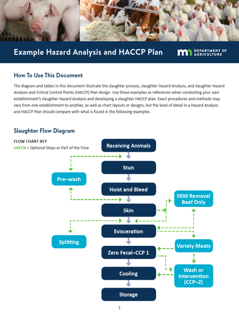 Slaughter HACCP Plan Examples | PDF