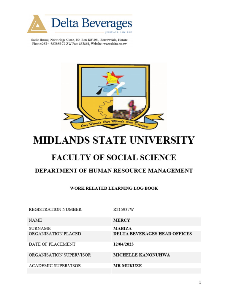 Log Book Template | PDF