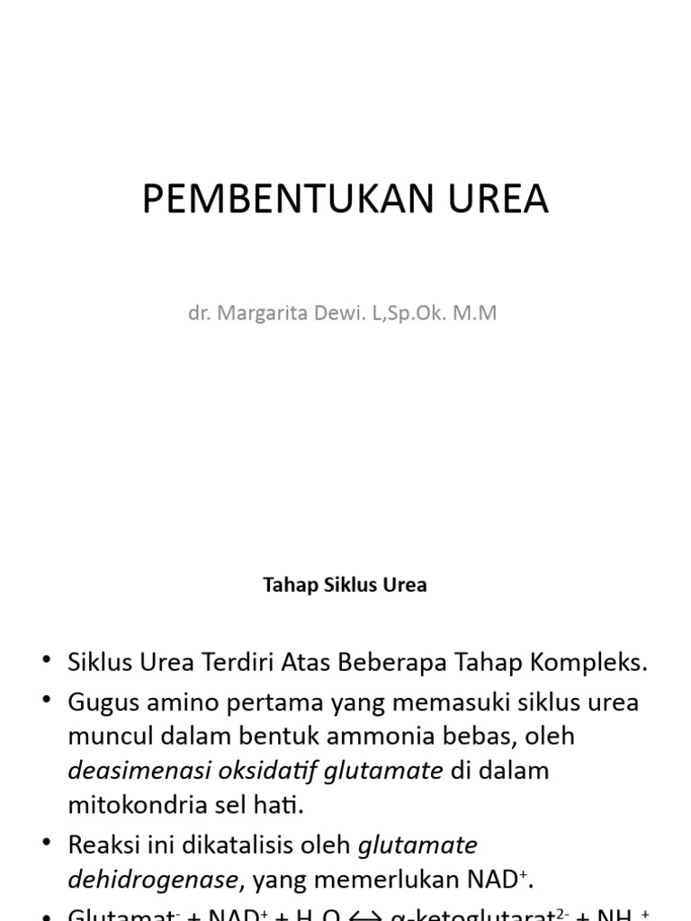 Pembentukan Urea | PDF