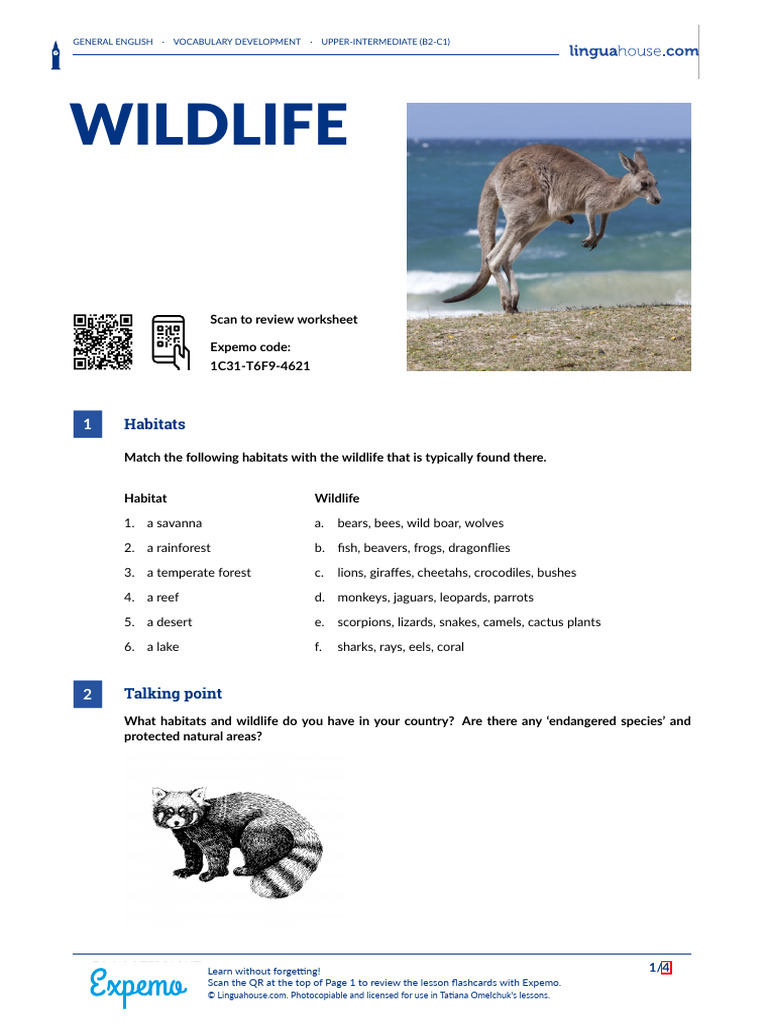 Wildlife Vocabulary for Upper-Intermediate | PDF | Predation | Organisms