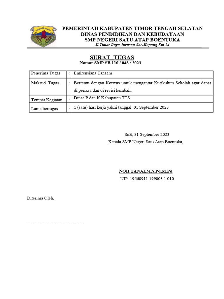 Surat Tugas Rensy 2023 | PDF