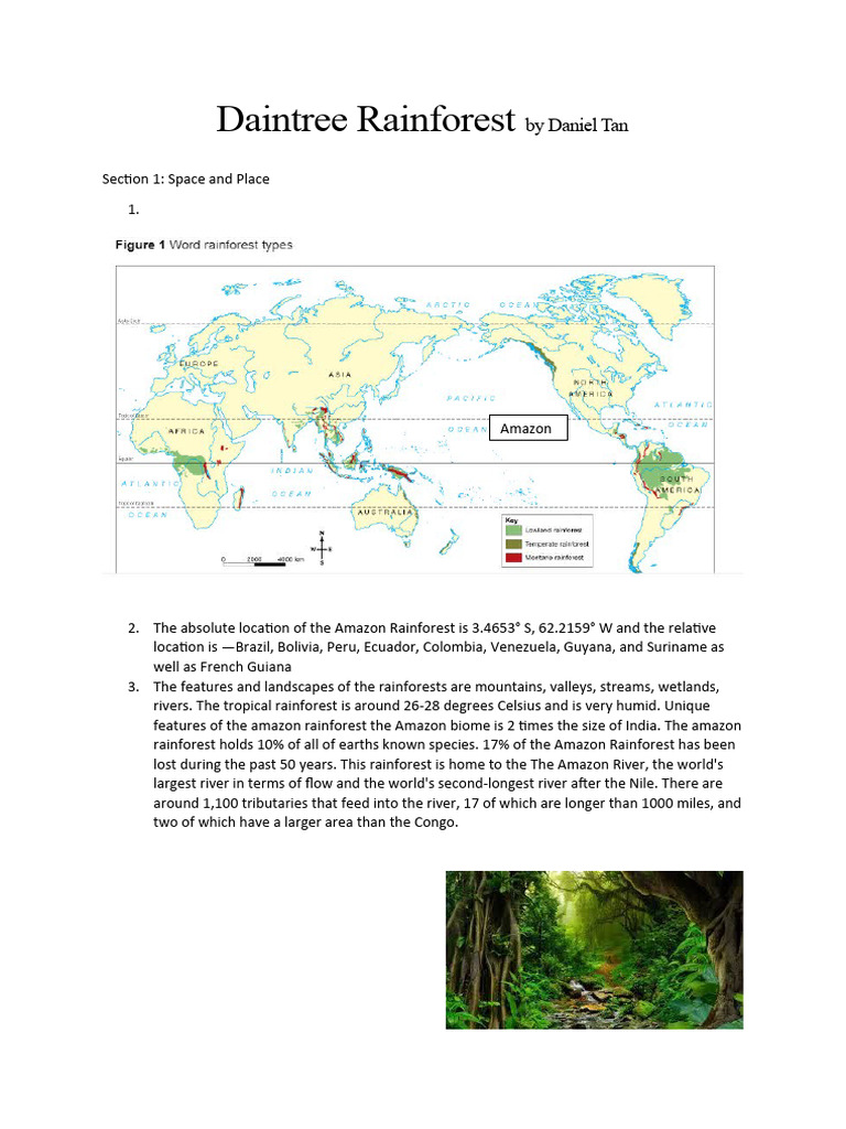 Assignment Rainforest | PDF | Amazon Rainforest | Rainforest