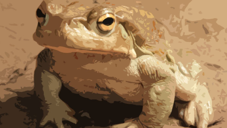 Toads by Philip Larkin, Presentation | PDF