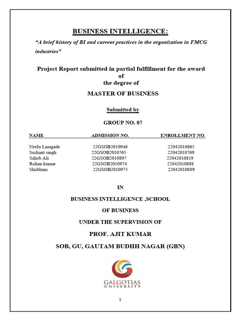 GROUP 07 Project Report BI | PDF | Business Intelligence | Analytics