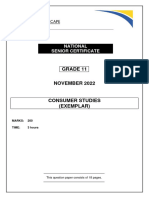 CAT Grade 11 Term 3 Practical | PDF