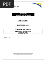 CAT Grade 11 Term 3 Practical | PDF