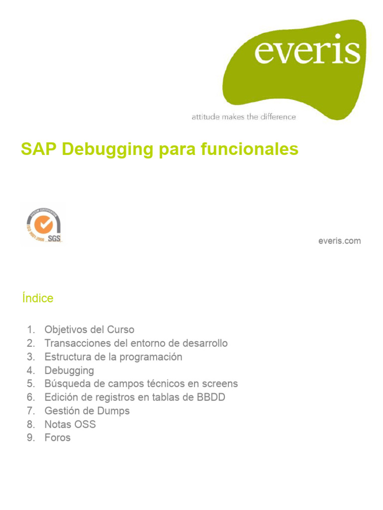 Formación - Debugging para Funcionales V3 | PDF | Programa de computadora | Programación