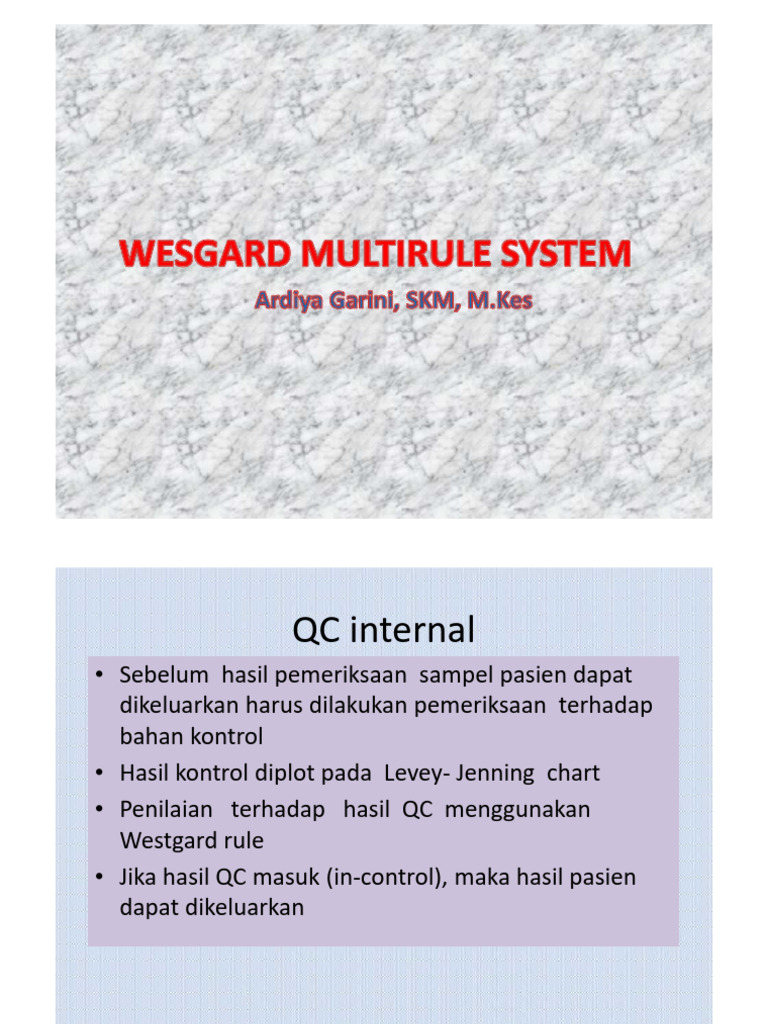 Wesgard Multirule System | PDF