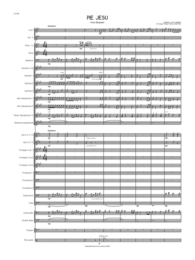 Pie Jesu - Lloyd Webber Orchestra | PDF