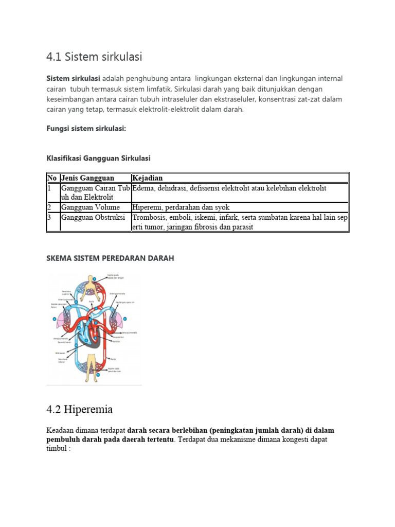 Topik 4 Sistem Sirkulasi | PDF | Politik