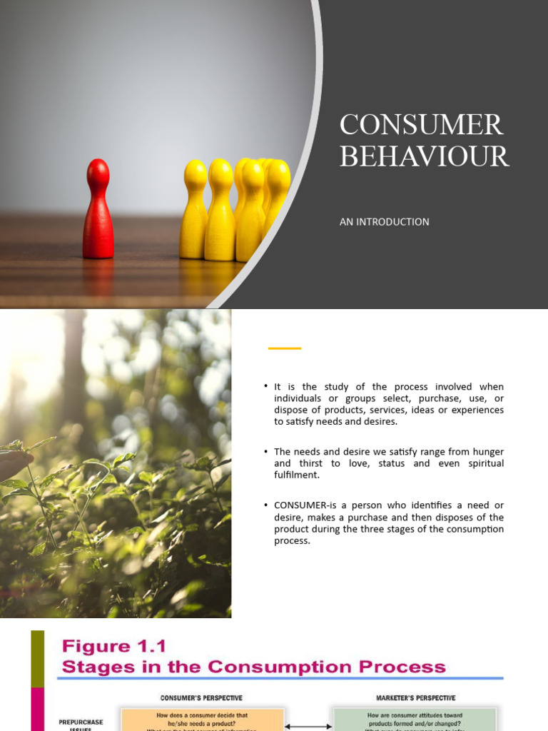 Consumer Behaviour Introduction | PDF