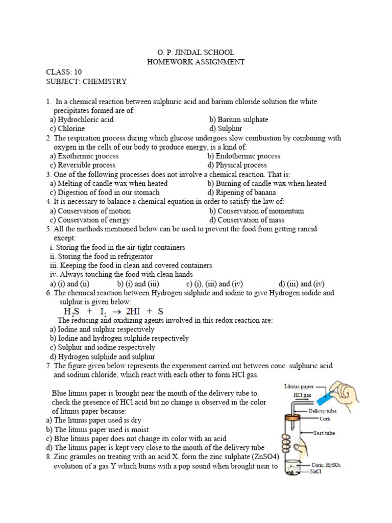 Class 10 Chemistry Homework Assignment | PDF | Acid | Magnesium
