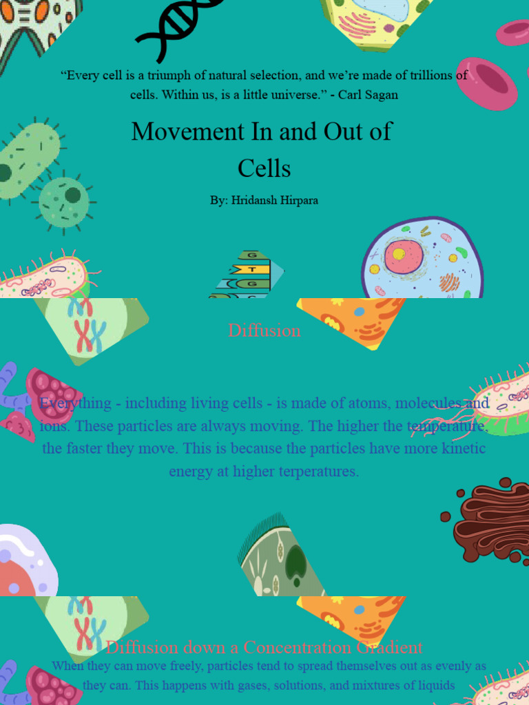 [Original size] Movement In and Out of Cells | PDF | Diffusion | Osmosis