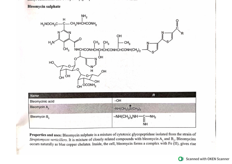 Bleomycin Structure | PDF