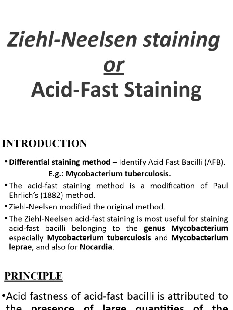 ZN Staining | PDF | Staining | Chemistry