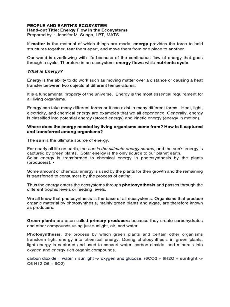 Handout - Energy Flow in The Ecosystems | PDF | Food Web | Ecosystem