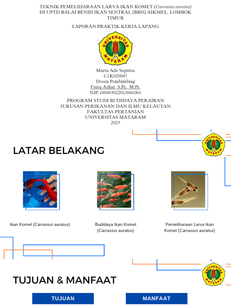 Teknik Pemeliharaan Larva Ikan Komet | PDF