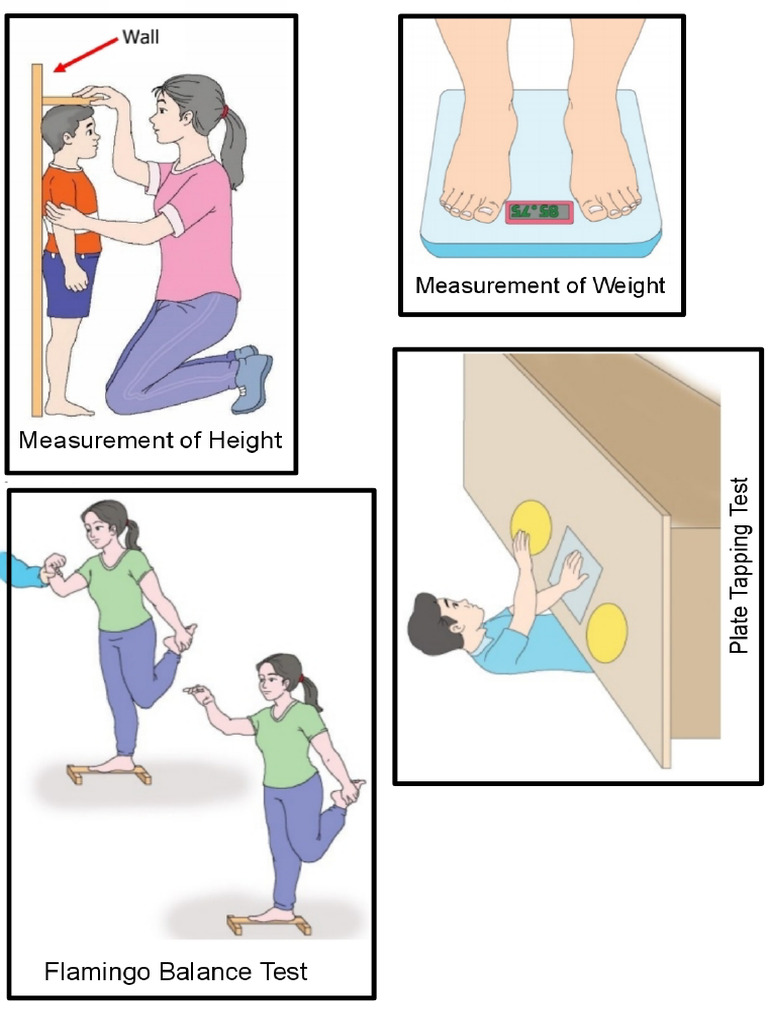 P Ed | PDF