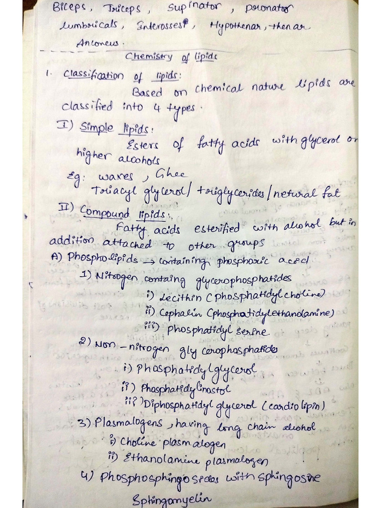 Lipids Chemistry Notes | PDF