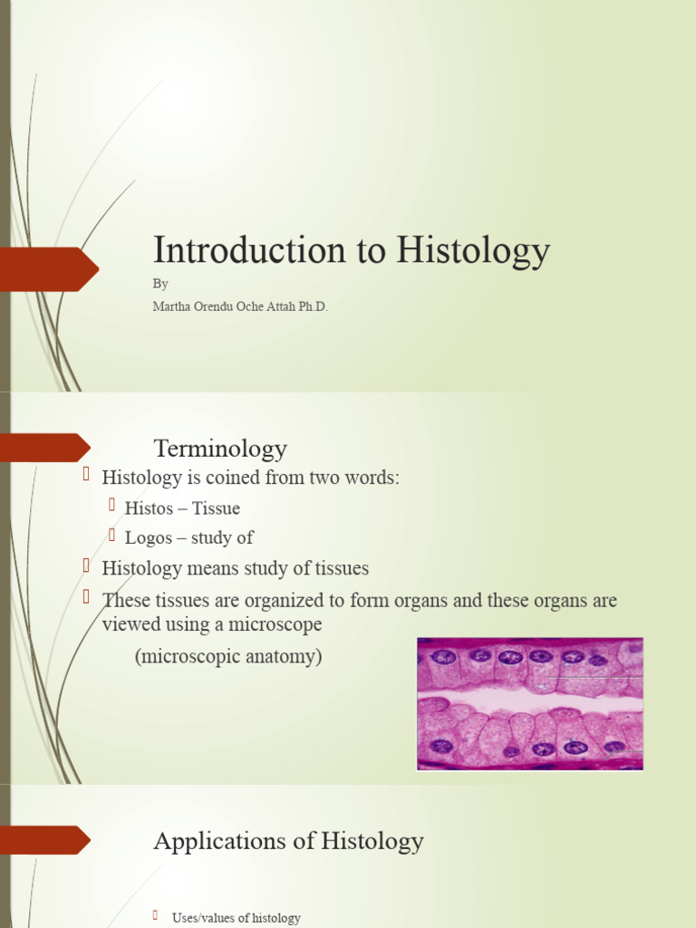 01 Introduction To Histology Pdf Connective Tissue Epithelium
