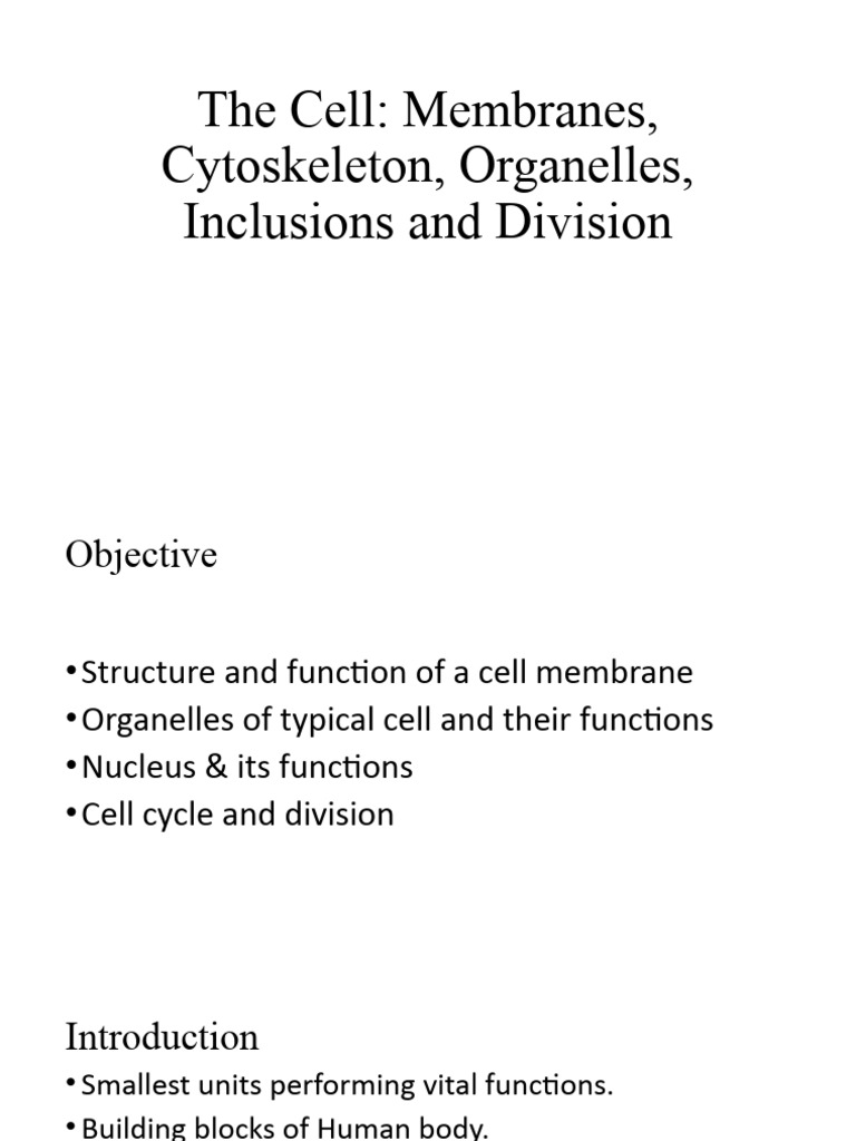 Cell Structure and Function Overview | PDF | Meiosis | Mitosis