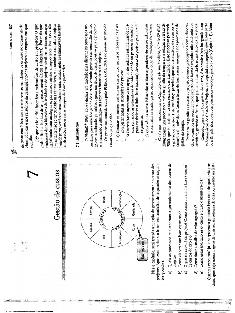 Cap7 Carvalho Rabechini Custo | PDF