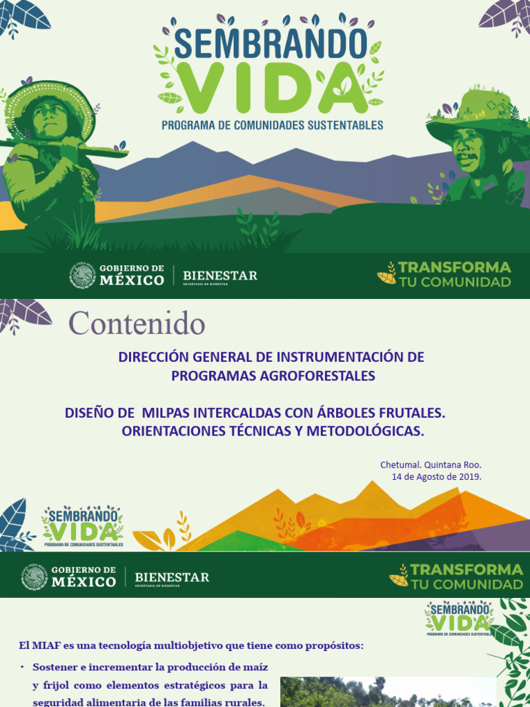 Diseño MIAF | PDF | Suelo | Agricultura