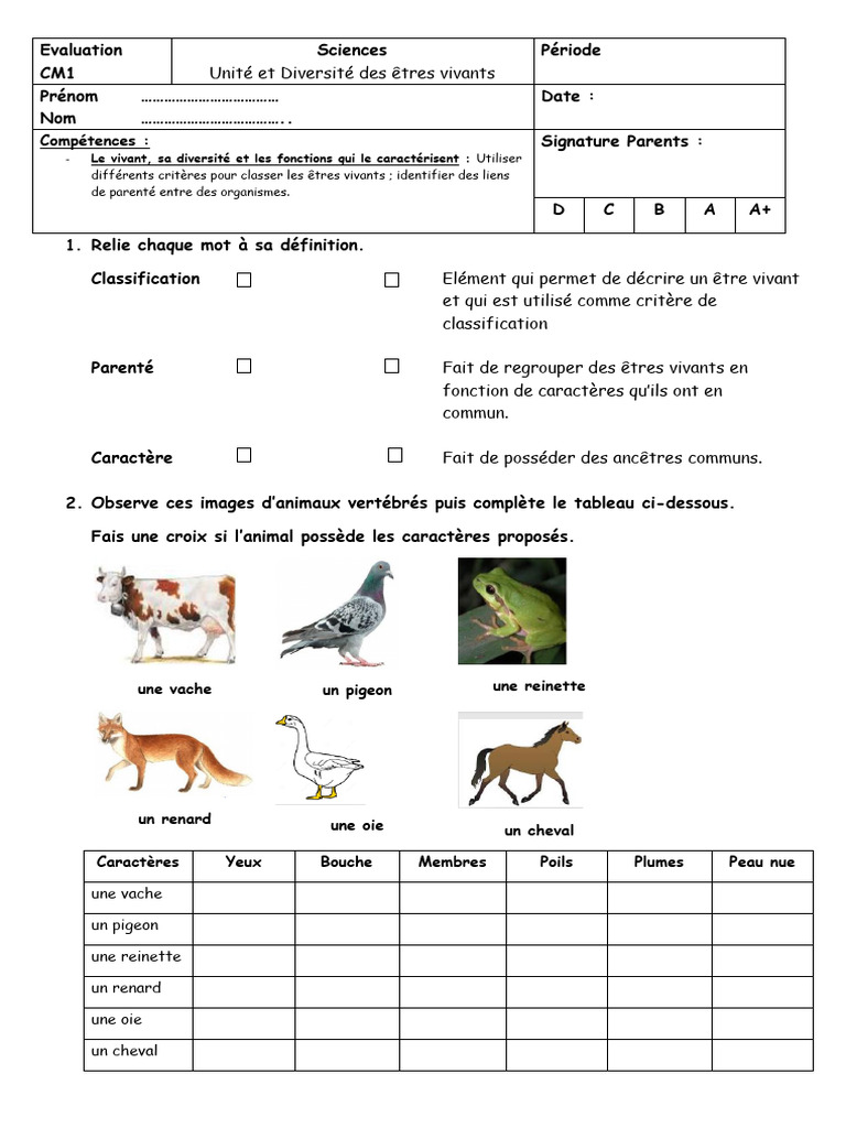 Évaluation SVT 6ème : Classification vivants | PDF | Organismes