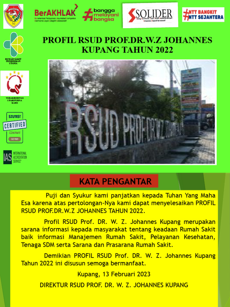 Profil Rsud Prof - Dr.w.z.johannes Kupang Tahun 2022 | PDF